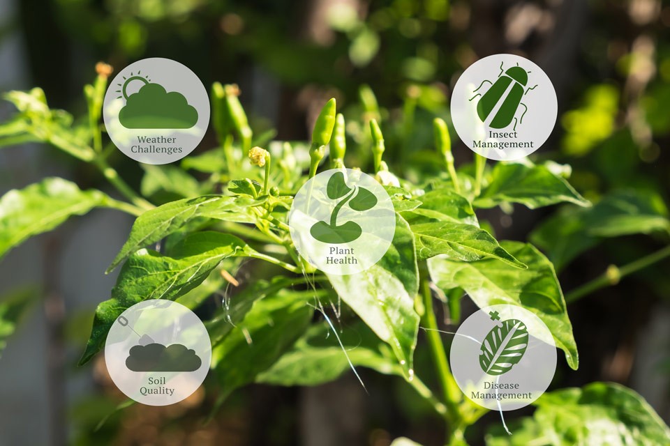 Smart Farming: are robust sensors and the power of the cloud the ... Smart Farming: are robust sensors and the power of the cloud the ...